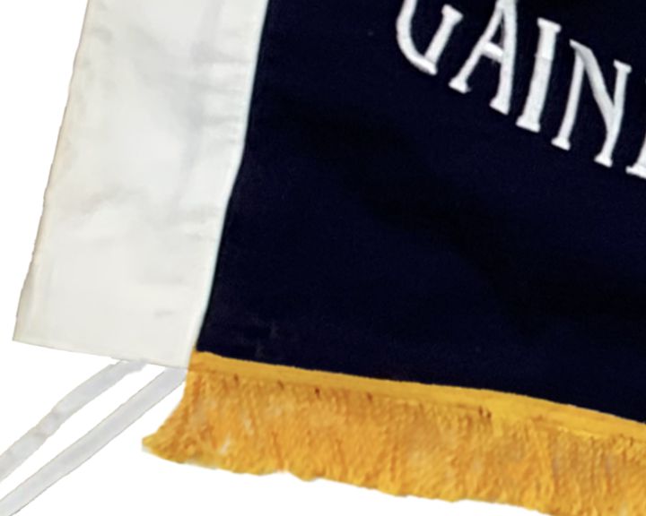 1st Texas Infantry Regiment Flag 3×5 Sewn Cotton with Gold Fringe - I ...