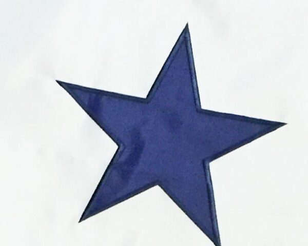 Blue Service Single Star Applique Garden Flag - I AmEricas Flags