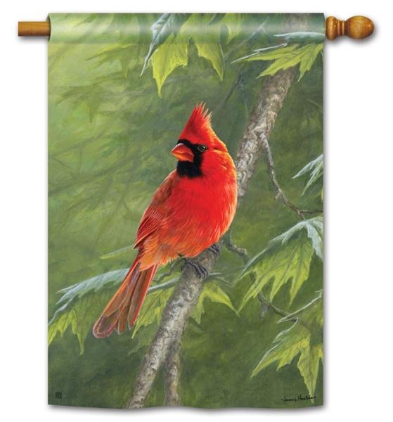 Cardinal House Flag - I AmEricas Flags