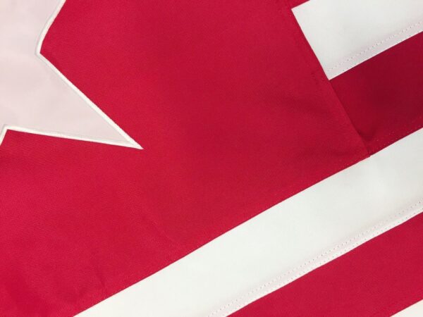 James Long Expedition Flag 3×5 2-Ply Polyester - I AmEricas Flags