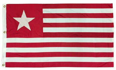 James Long Expedition Flag 3×5 2-Ply Polyester - I AmEricas Flags