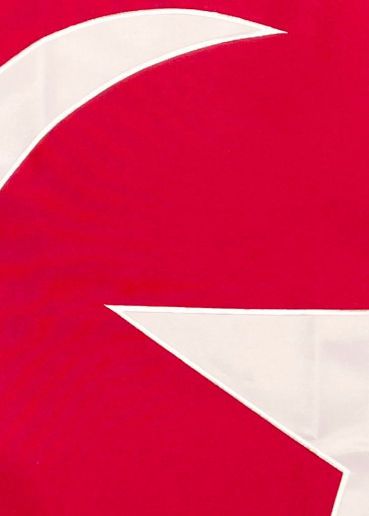 South Carolina Secession Flag 3×5 2-Ply Polyester - I AmEricas Flags