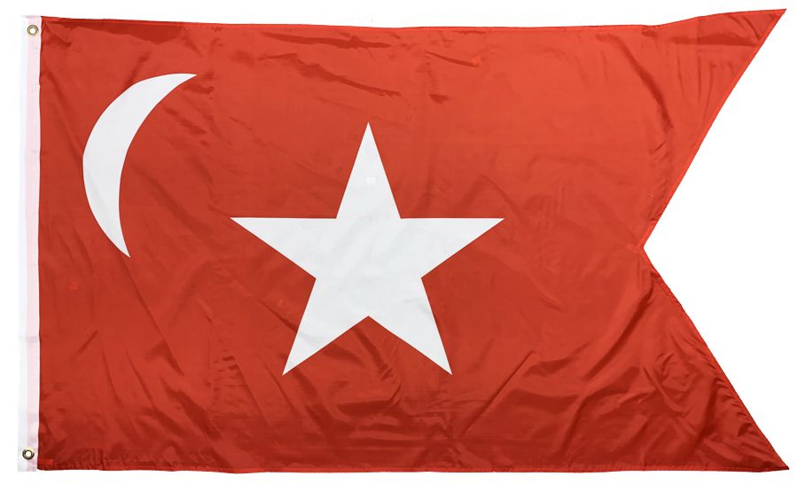 South Carolina Secession Flag 3×5 – Printed - I AmEricas Flags