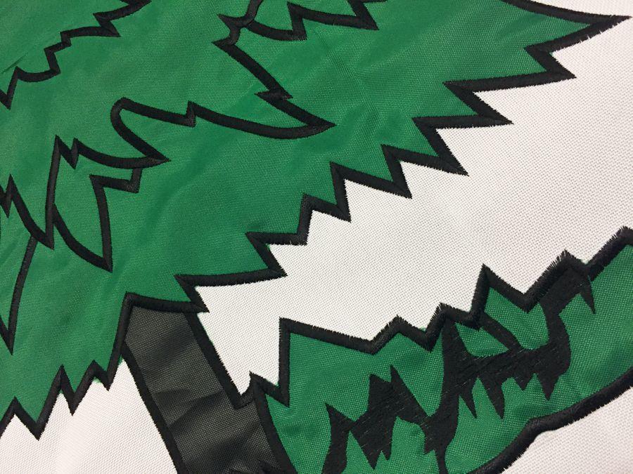 Washington’s Cruisers An Appeal to Heaven Flag 3×5 2-Ply Polyester - I ...