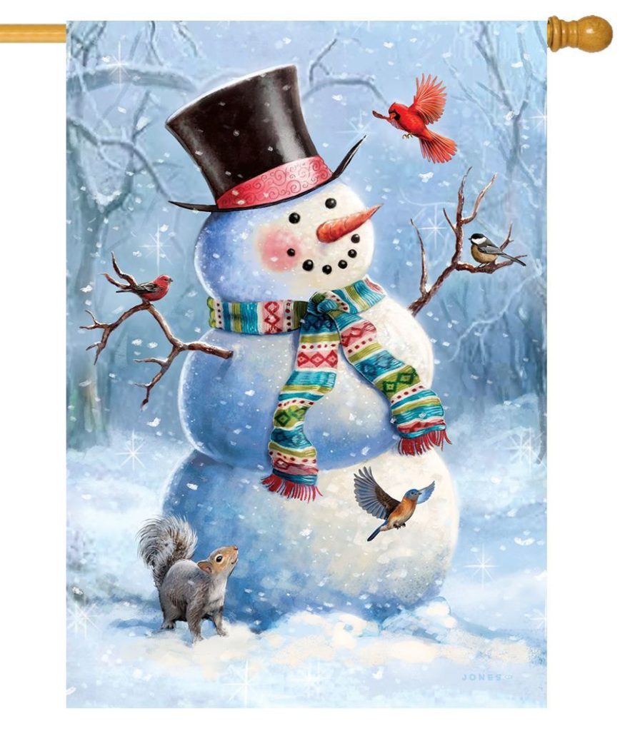 Winter Cardinal House Flag - I AmEricas Flags