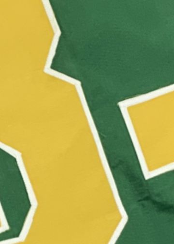 Baylor University Interlocking BU Green Applique 3×5 Flag - I AmEricas ...