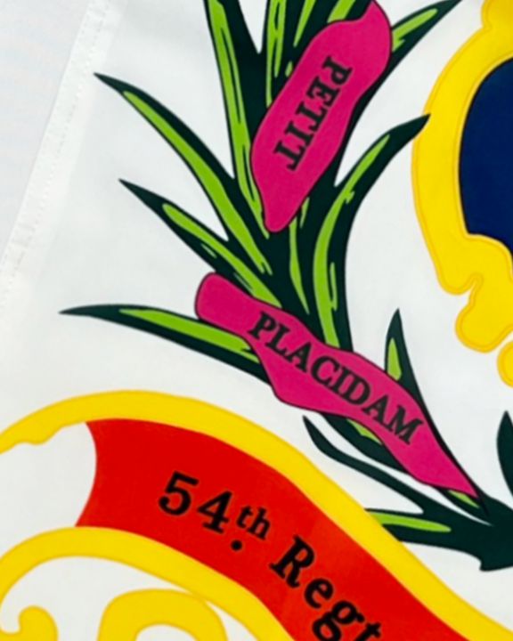 54th Massachusetts Regiment Colored Troops Flag 3×5 2-Ply Polyester - I ...