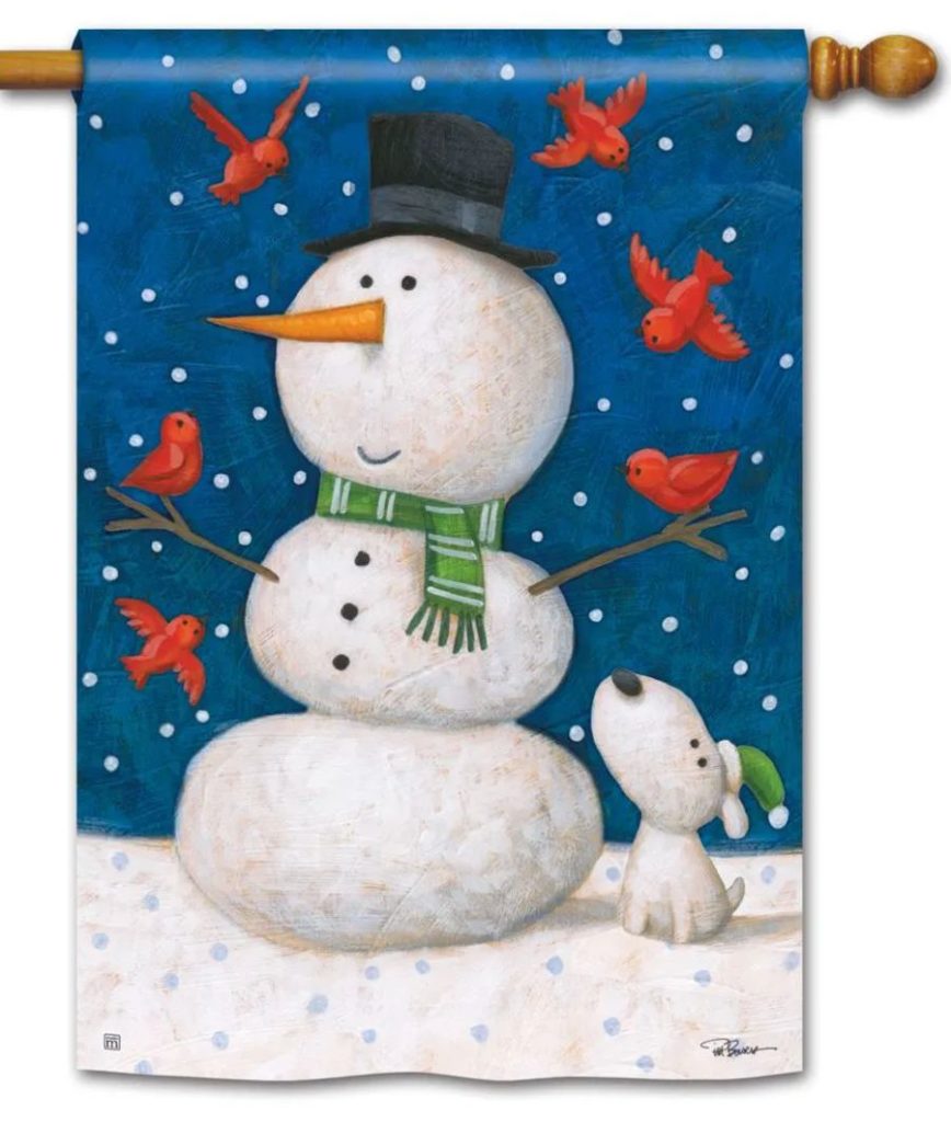 Winter Flags - I AmEricas Flags