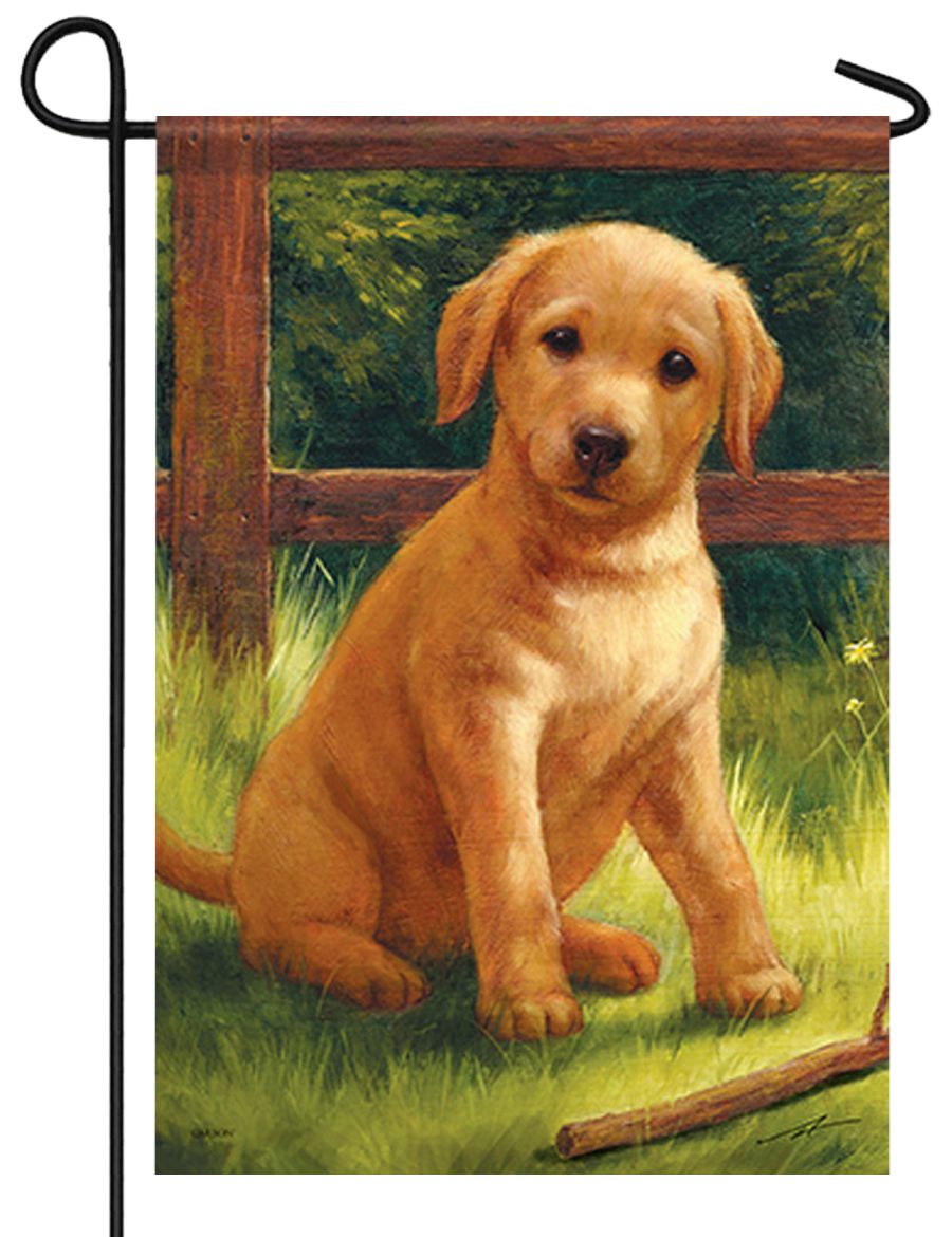 Dog and Cat Garden Flags - I AmEricas Flags