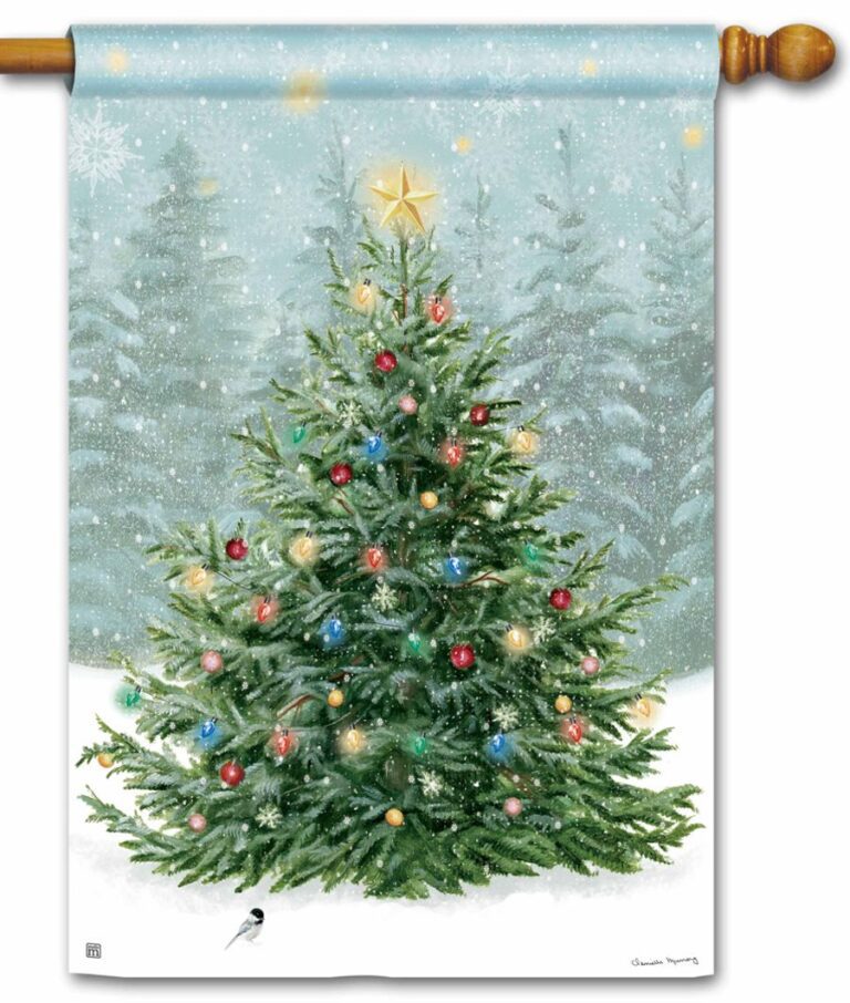 House Flags for sale - I AmEricas Flags